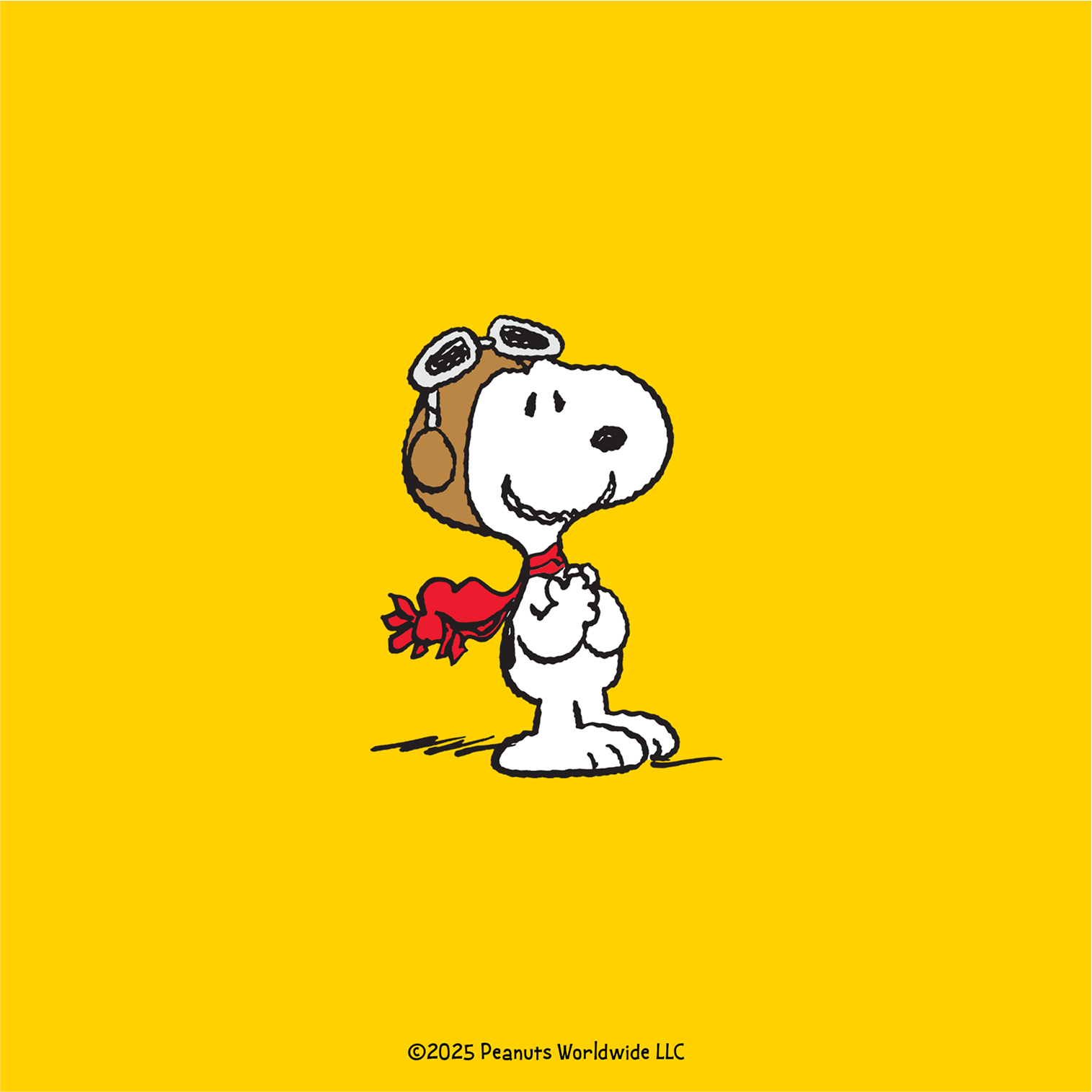 WWI Through Snoopy’s Eyes: Education Meets Imagination – AVI-8 Timepieces